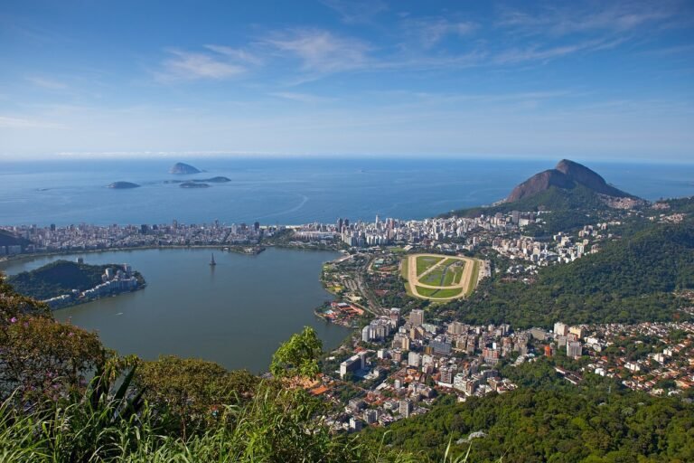 Tijuca National Park: The Fight to Rewild the World's Largest Urban ...