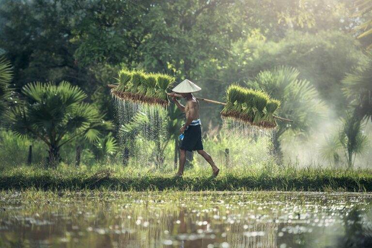 Why Village Life is Better Than City Life: 10 Compelling Reasons ...
