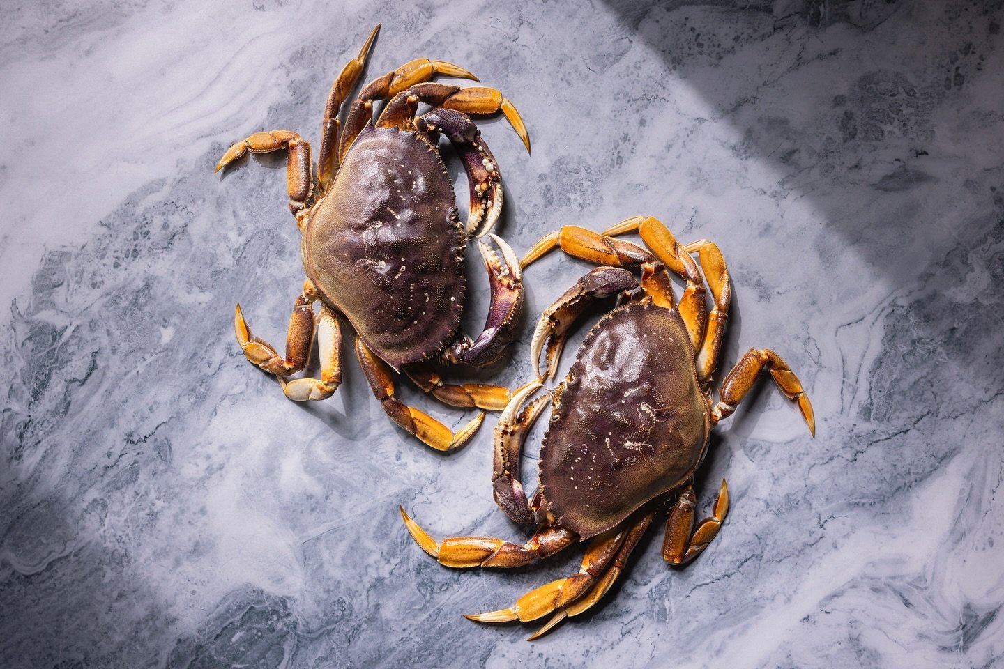 Top 10 Largest Crab in the World: Nature’s Giants or Oceanic Nightmares ...