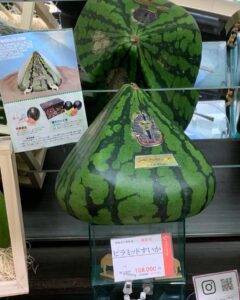 How Square Watermelons are Grown and Why They’re So Expensive - Horizon ...